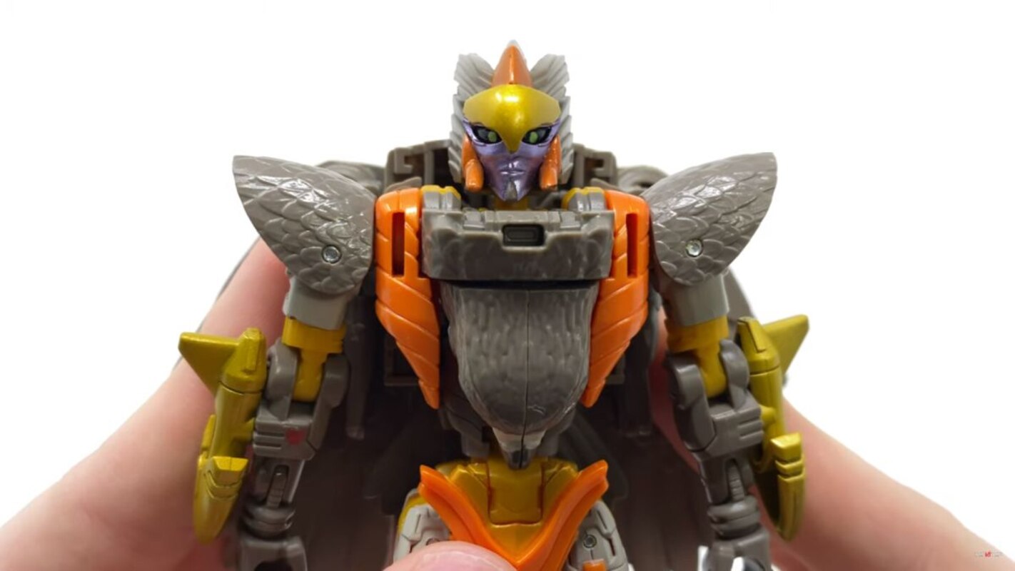 Transformers Kingdom Airazor Wave 2 Deluxe Class In-Hand Review by ...